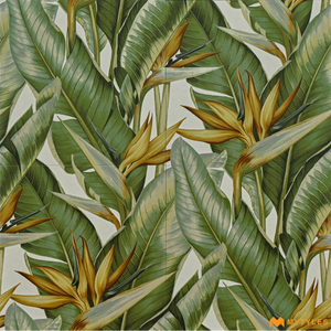 Buy 1x1 Feet Tropical Wall & Floor Tile Online